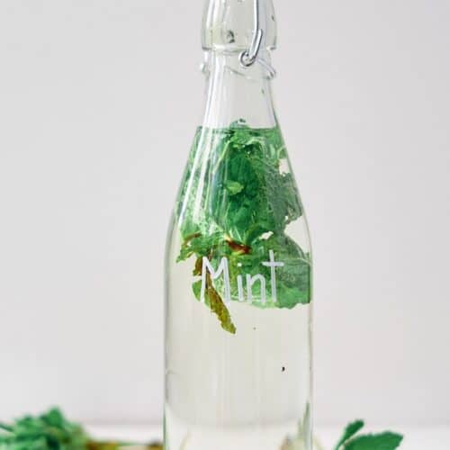 How to Make Mint Extract - My Heavenly Recipes