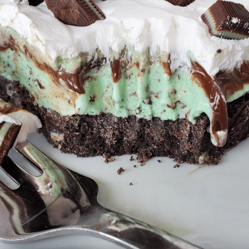 Frozen Mint Chip Dessert - My Heavenly Recipes