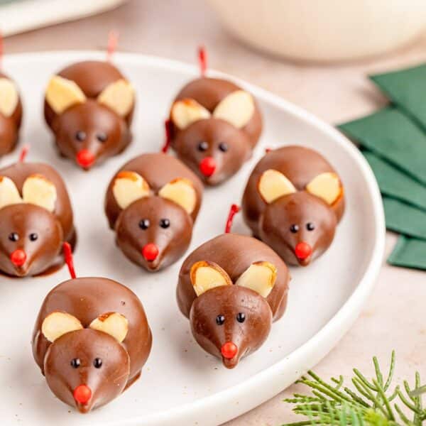 Chocolate Covered Cherry Mice - My Heavenly Recipes