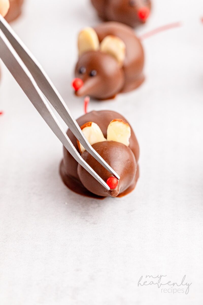 Chocolate Covered Cherry Mice - My Heavenly Recipes