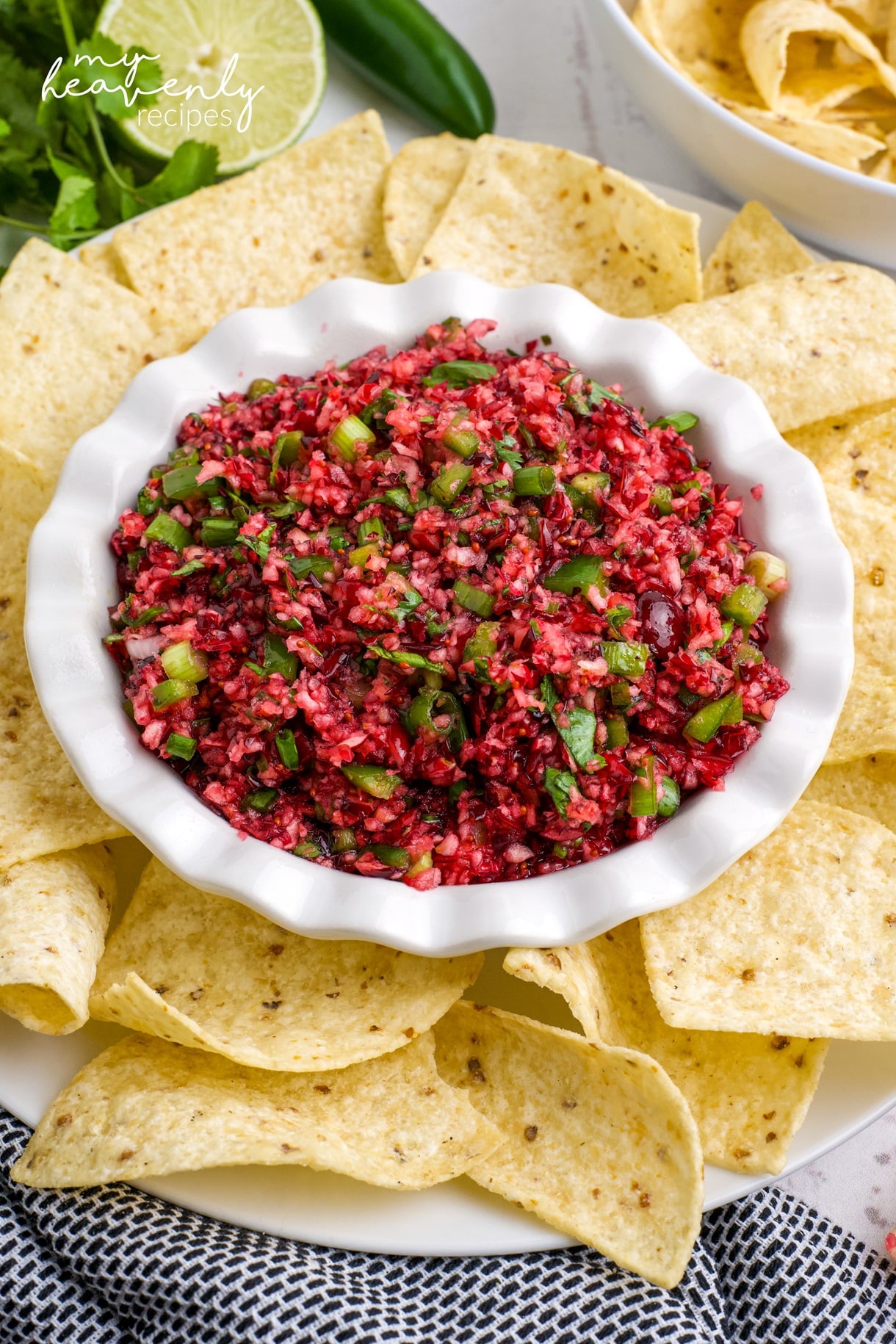 Cranberry Salsa Recipe - My Heavenly Recipes