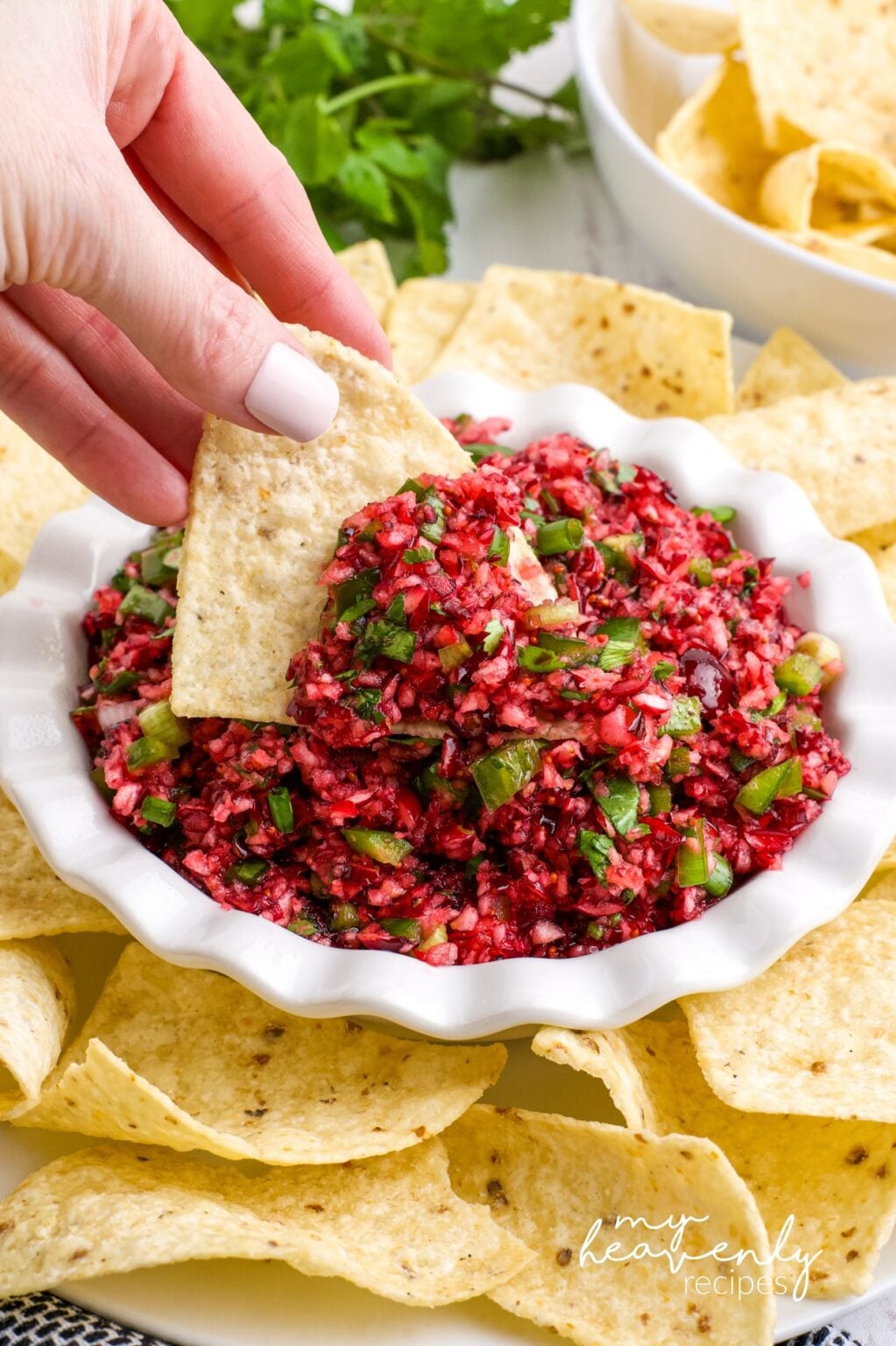 Cranberry Salsa Recipe - My Heavenly Recipes