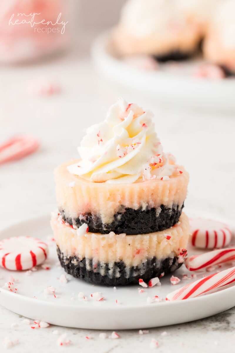 Mini Peppermint Cheesecake Recipe - My Heavenly Recipes
